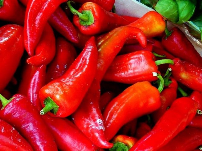Türkischer Gewürzpaprika | FarmerWiki by Farmer Panorama