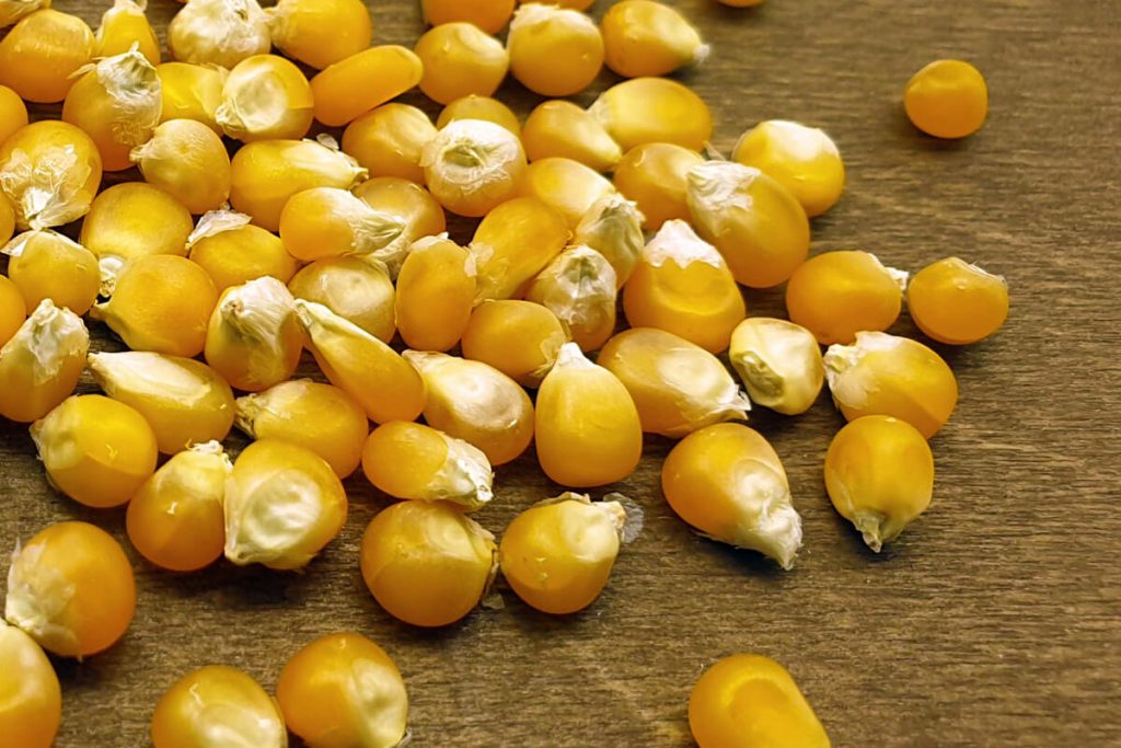 Puffmais - Cinema - Farmer Panorama